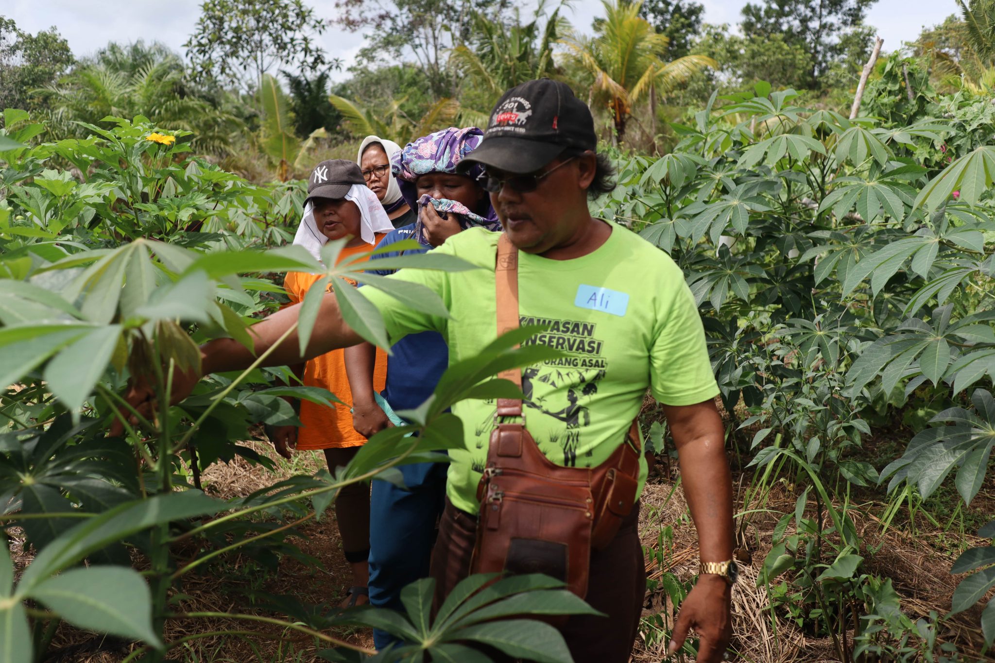Creating a Network of Syntropic Farmers - Global Peace Foundation Malaysia